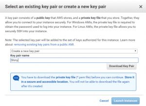 How to Host an R Shiny App on AWS EC2 via Shiny Server and RStudio Server on a Windows Machine ...