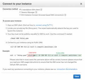 How to Host an R Shiny App on AWS EC2 via Shiny Server and RStudio Server on a Windows Machine ...